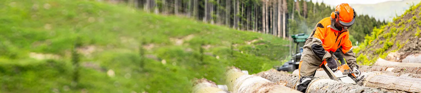 Finnish Forest Giants Sustainable Cloud Journey with HCL MyXalytics